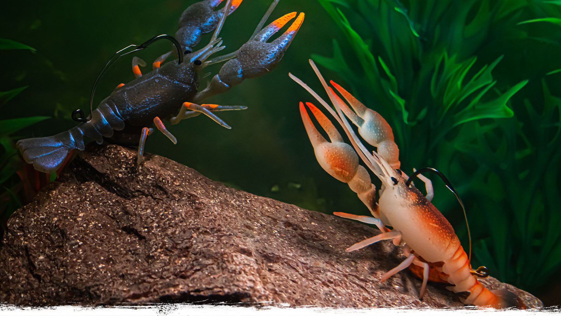 The Mudbug - Chasebaits Australia