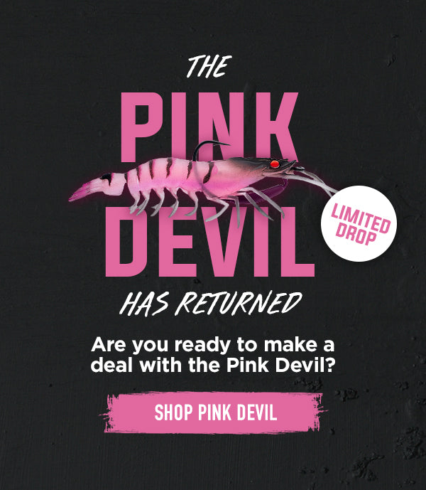 CHASEBAITS - Inspired by the Chase